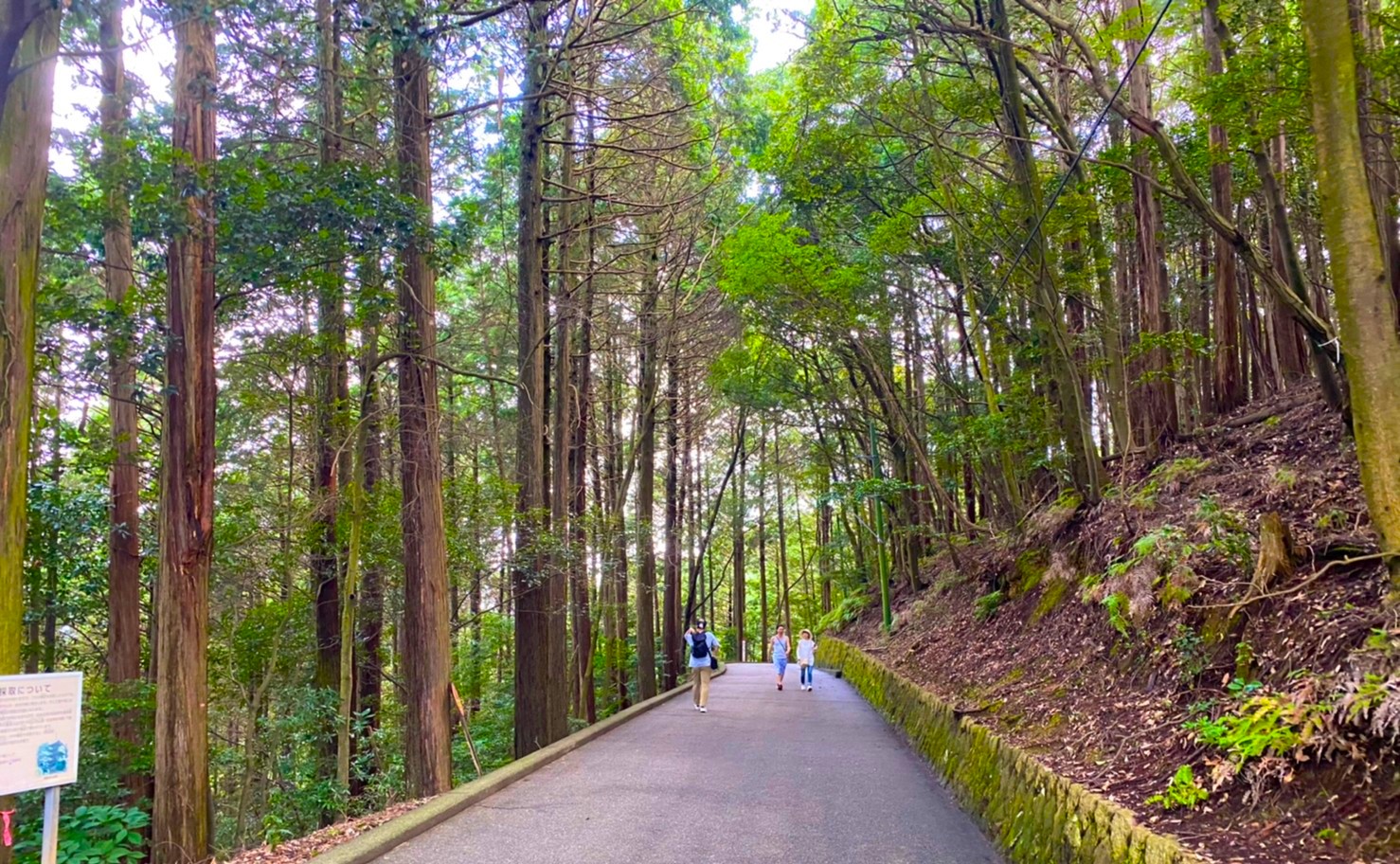Iwakuni Castle, beautiful Japanese castle on the mountain | Japanese ...